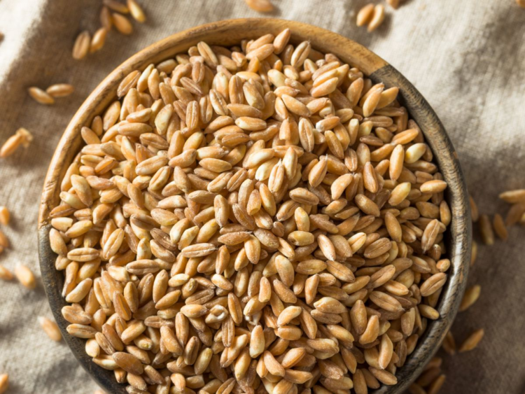 How to Cook Farro in a Rice Cooker: Step-By-Step Guide To Perfection ...