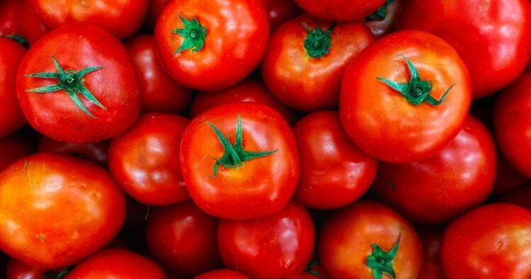 Why Am I Craving Tomatoes: 10 Reasons Behind Tomato Cravings DEALiciousness