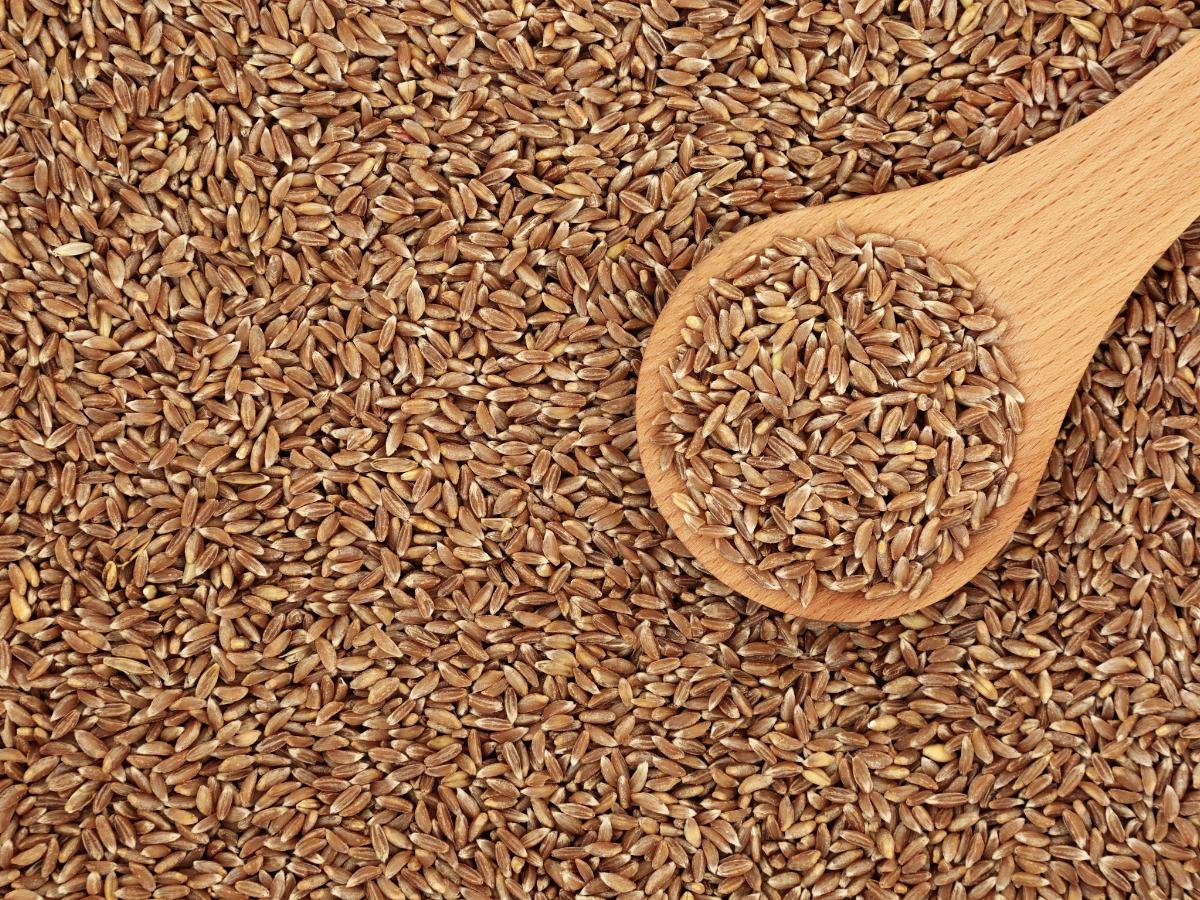 How to Cook Farro in a Rice Cooker: Step-By-Step Guide To Perfection ...